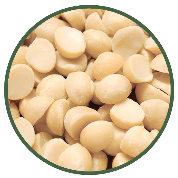Vietnam Macadamia Kernels Supplier - KingNuts Co.,LTD