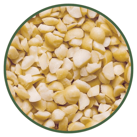 Vietnam Macadamia Kernels Supplier - KingNuts Co.,LTD