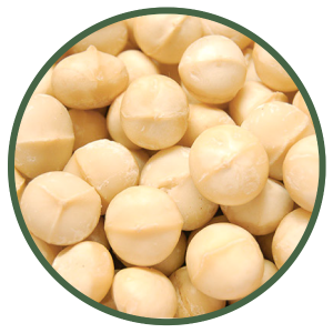 Vietnam Macadamia Kernels Supplier - KingNuts Co.,LTD