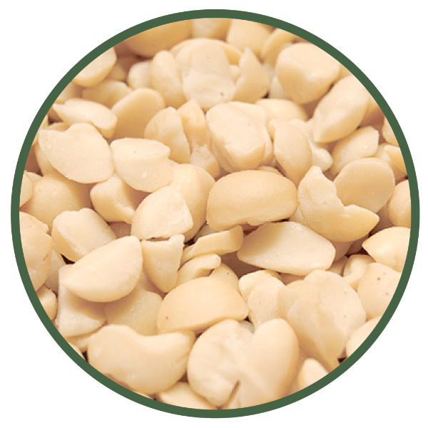 Vietnam Macadamia Kernels Supplier - KingNuts Co.,LTD