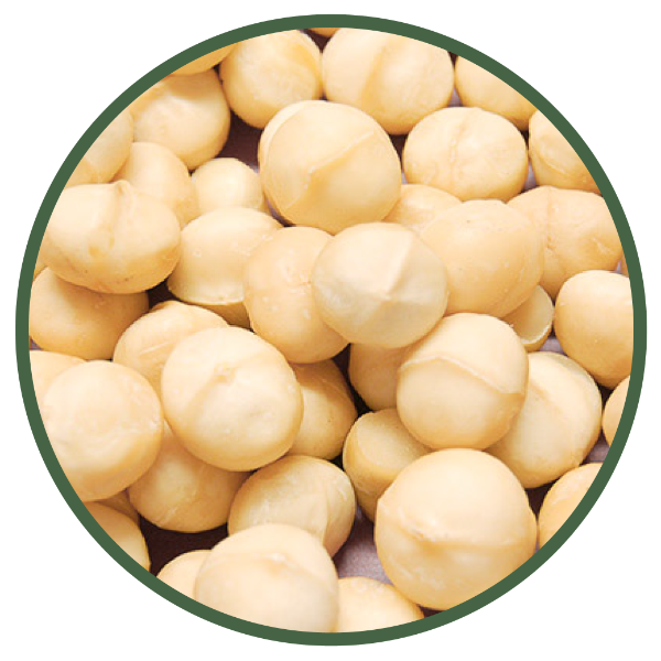 Vietnam Macadamia Kernels Supplier - KingNuts Co.,LTD