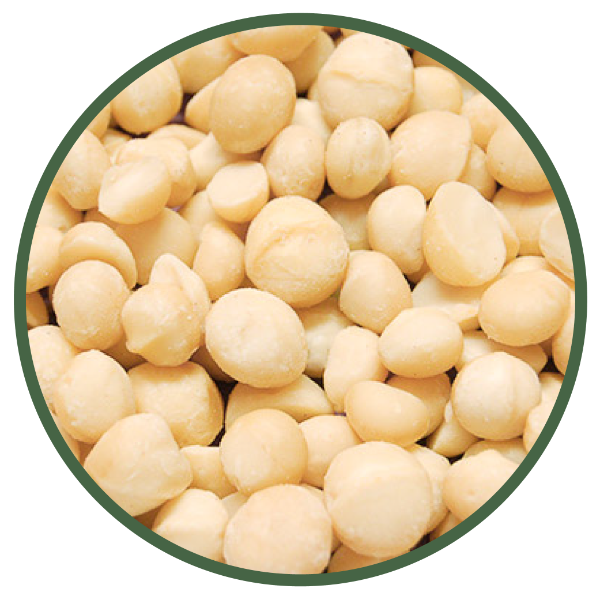 Vietnam Macadamia Kernels Supplier - KingNuts Co.,LTD